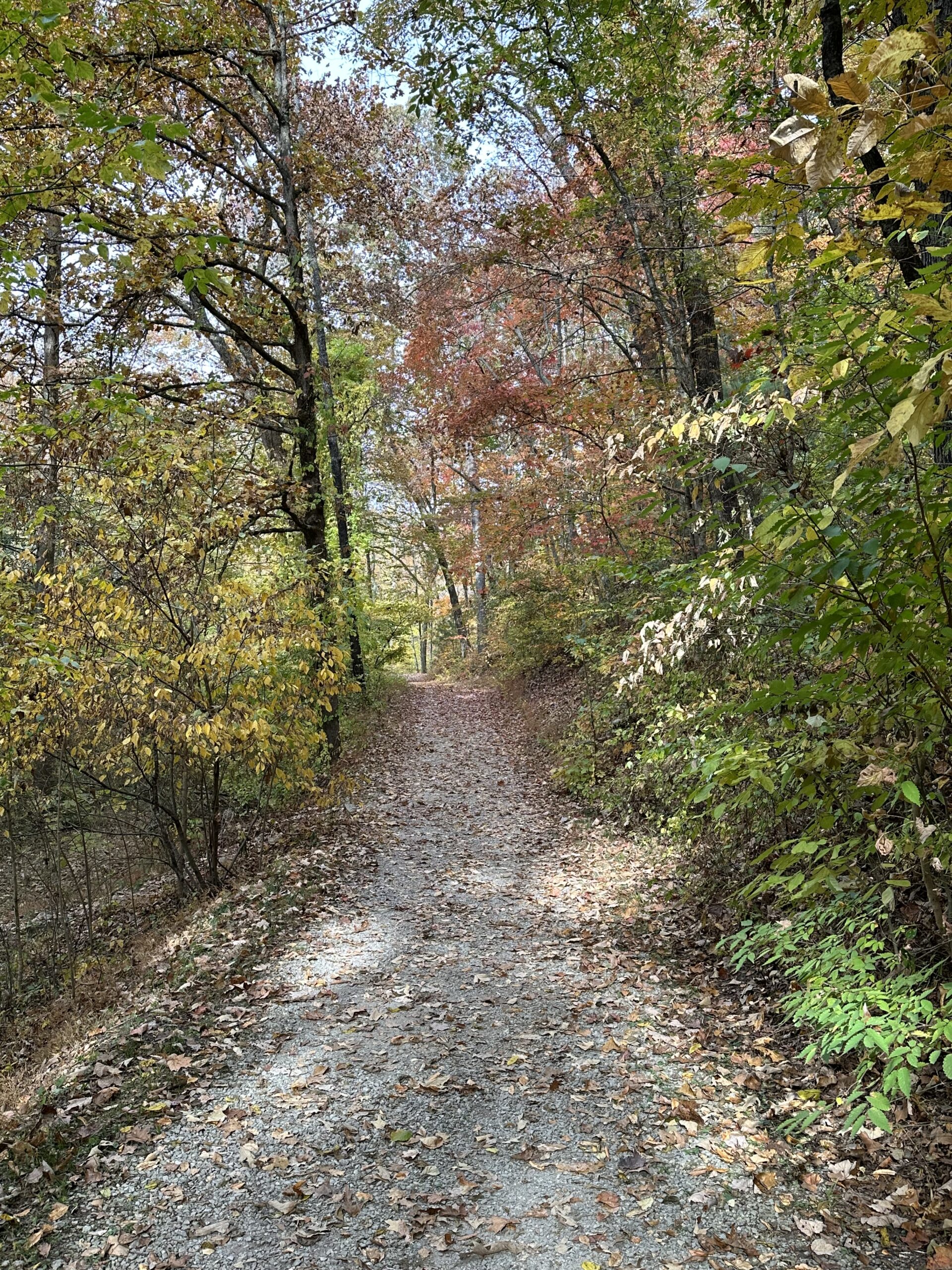 The Song of All Creation - Glory to God For All Things